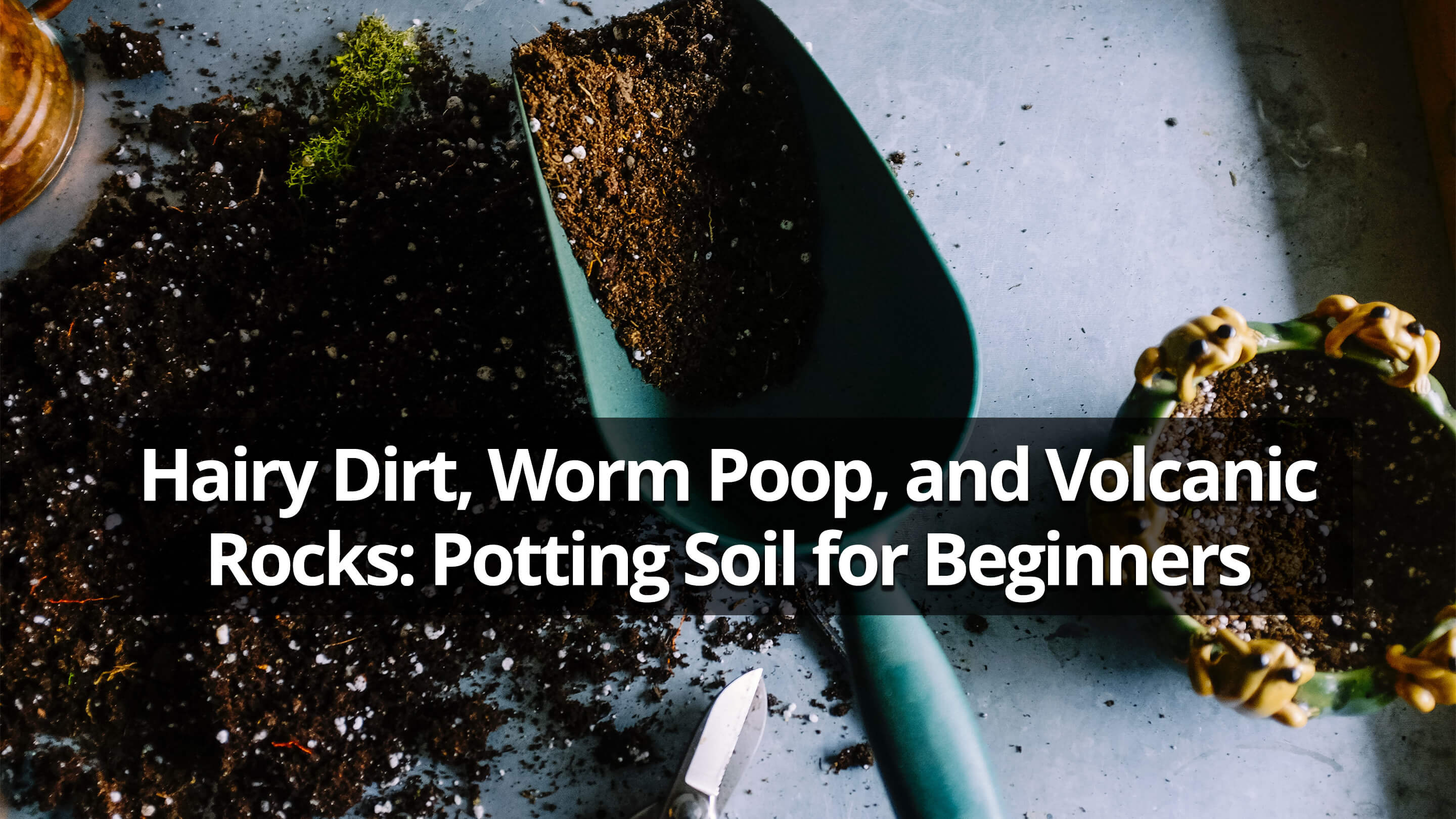 Hairy Dirt, Worm Poop, and Volcanic Rocks: Potting Soil for Beginners ...