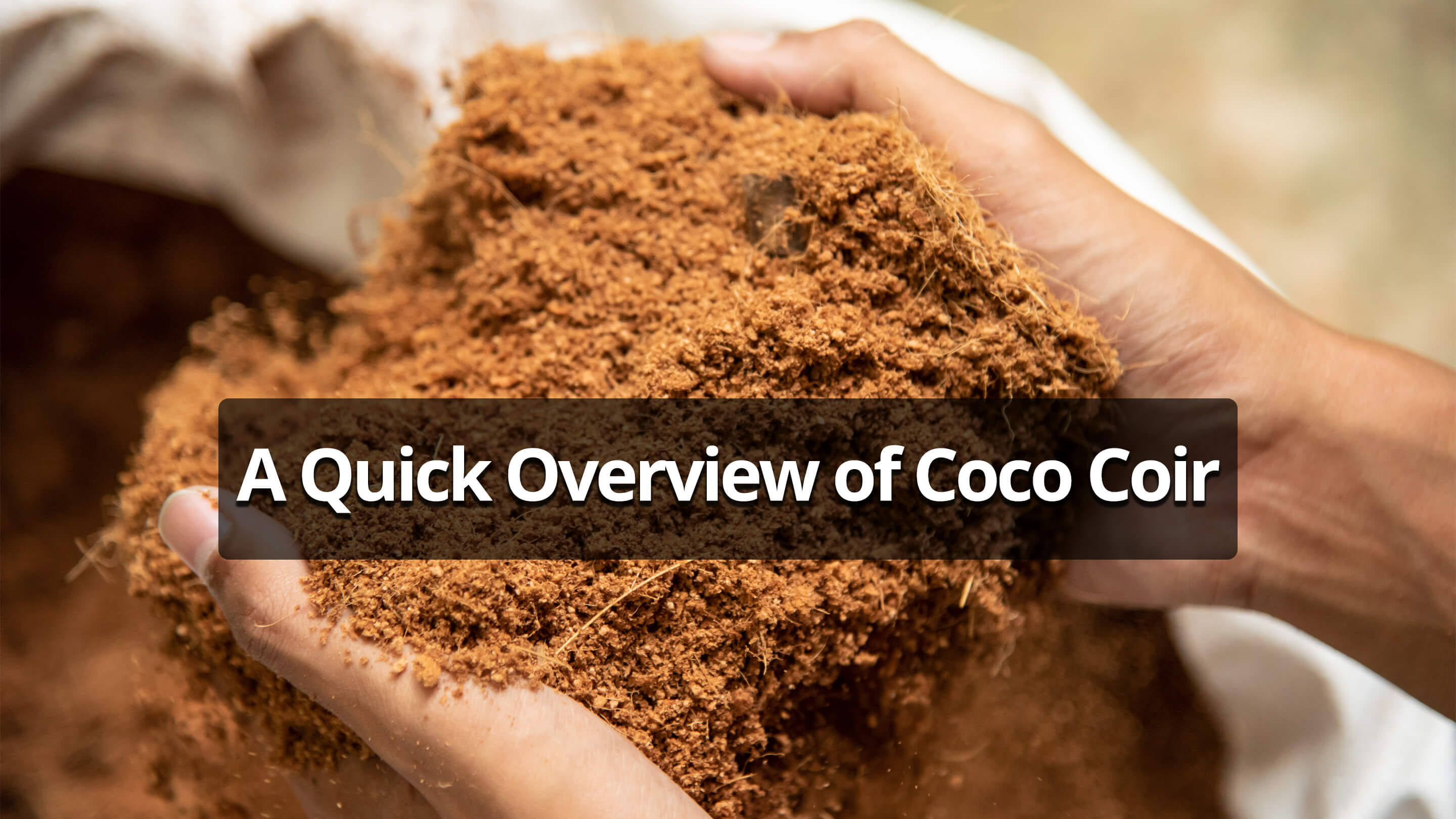 A Quick Overview Of Coco Coir – Plantonix